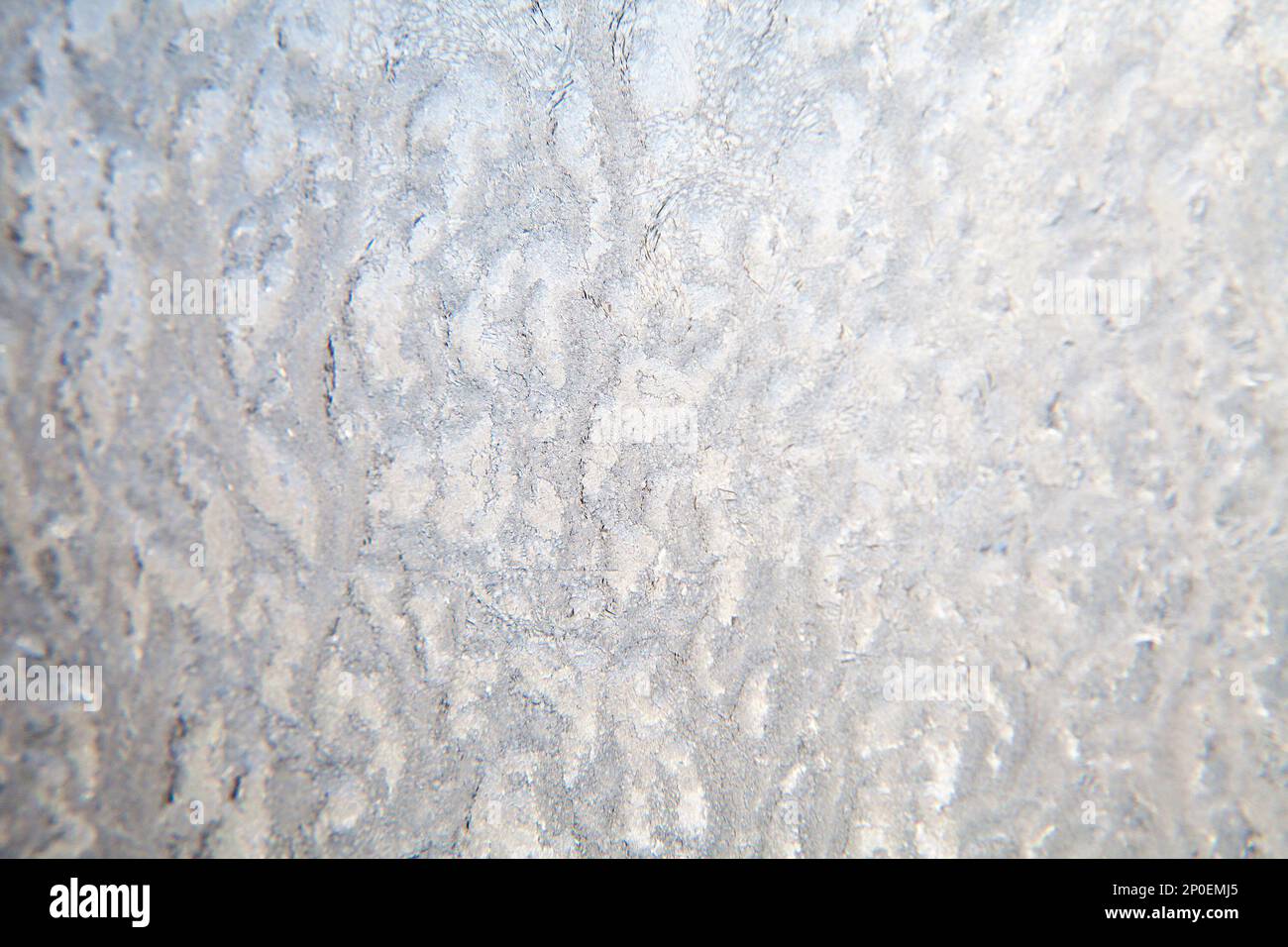 White frozen ornate icing on a window glass. Winter seasonal background ...