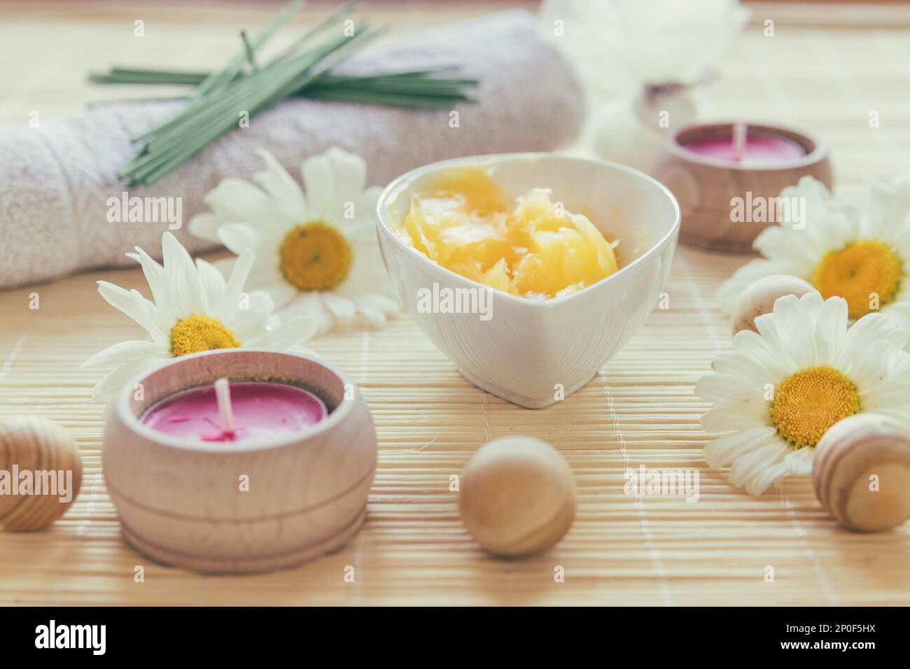 Shea shell hi-res stock photography and images - Alamy