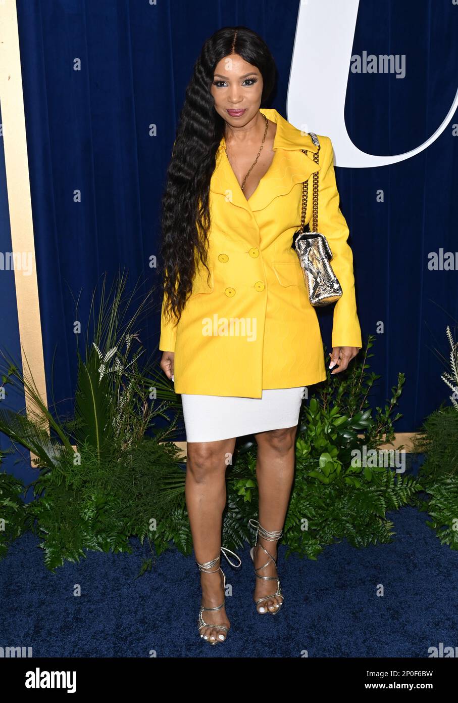 Los Angeles, USA. 02nd Mar, 2023. Elise Neal at the premiere for ...