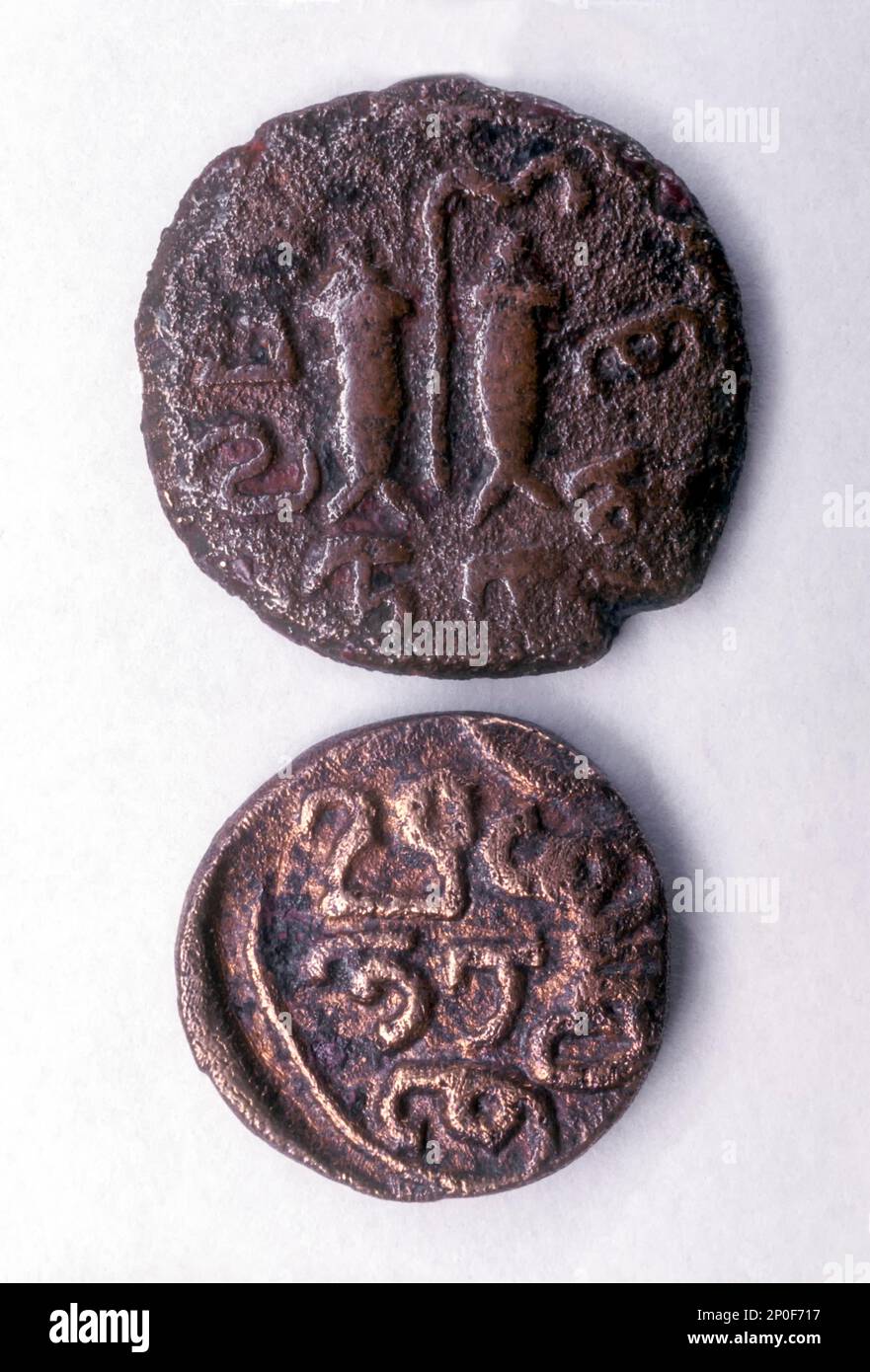Madurai Visvanatha Nayak copper coin, 1529-1564, top Two fish and a ...