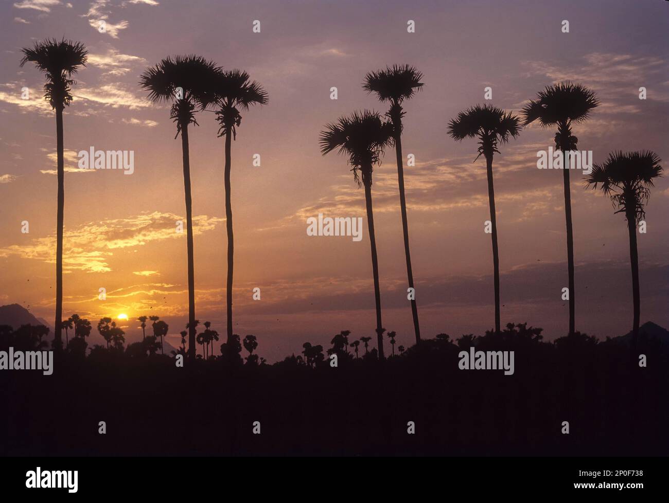 India sky sun hi-res stock photography and images - Alamy