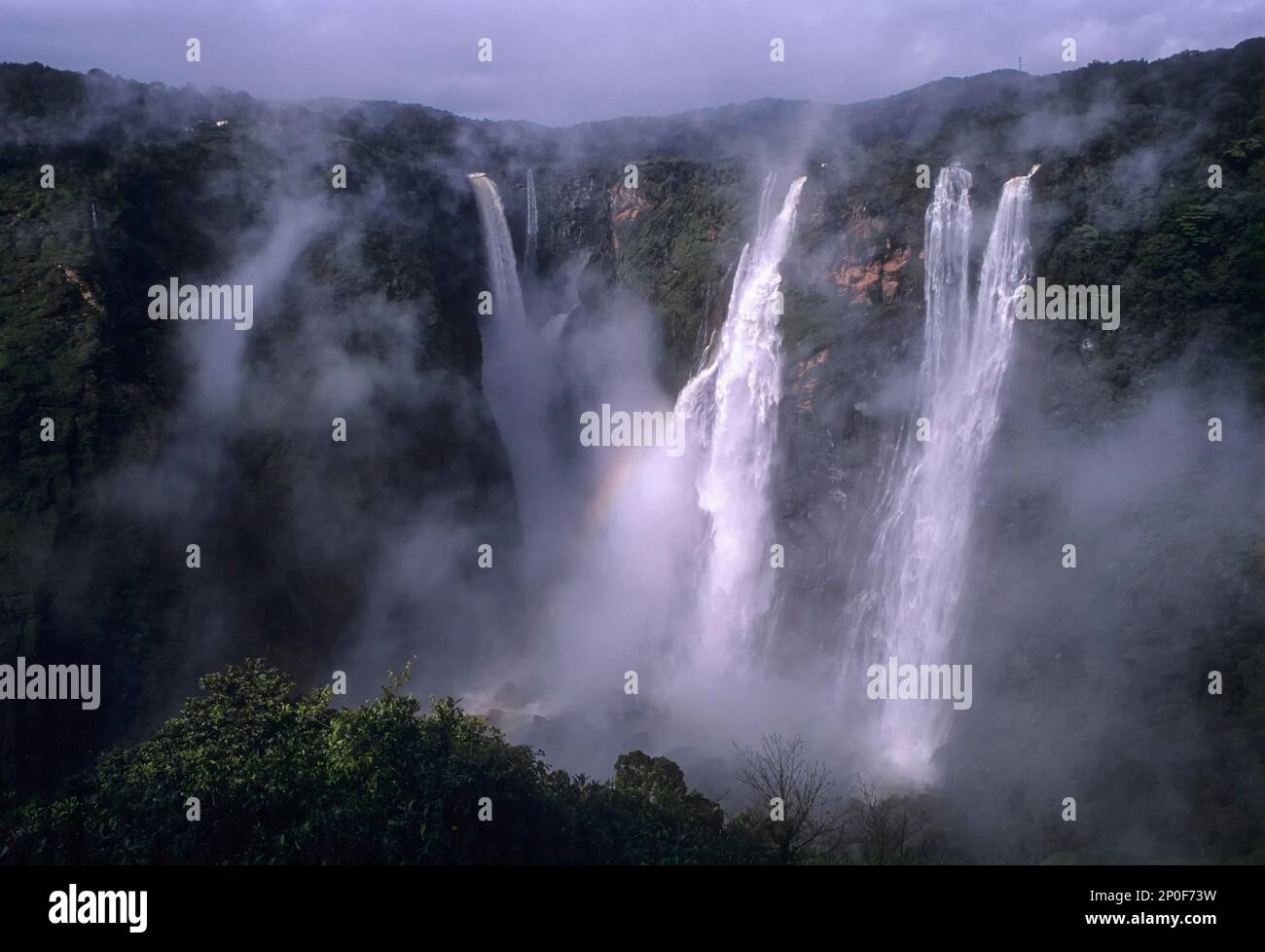 Jog falls, karnataka, India Stock Photo - Alamy
