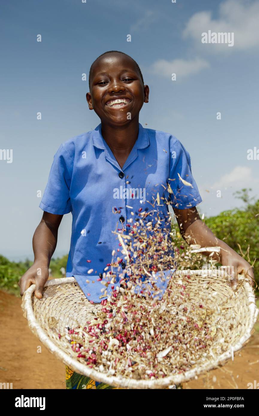 Young girl sorts chaff from beans by throwing them into a basket ...