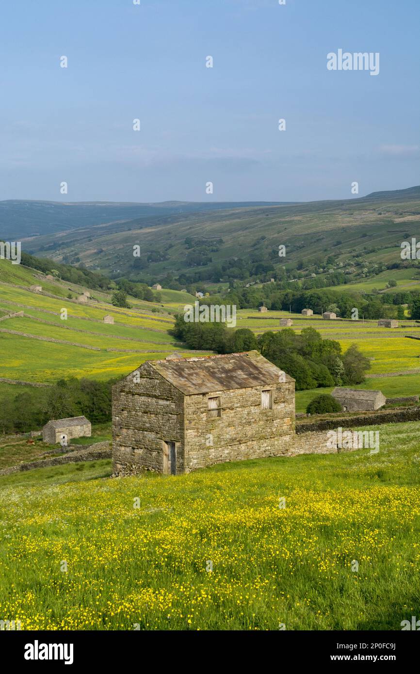 View of Swaledale from above Thwaite, with stone ferns in fields ...