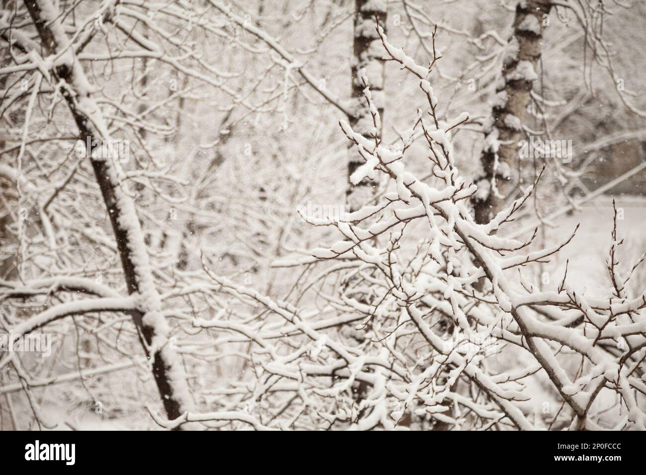 Snowing background hi-res stock photography and images - Alamy