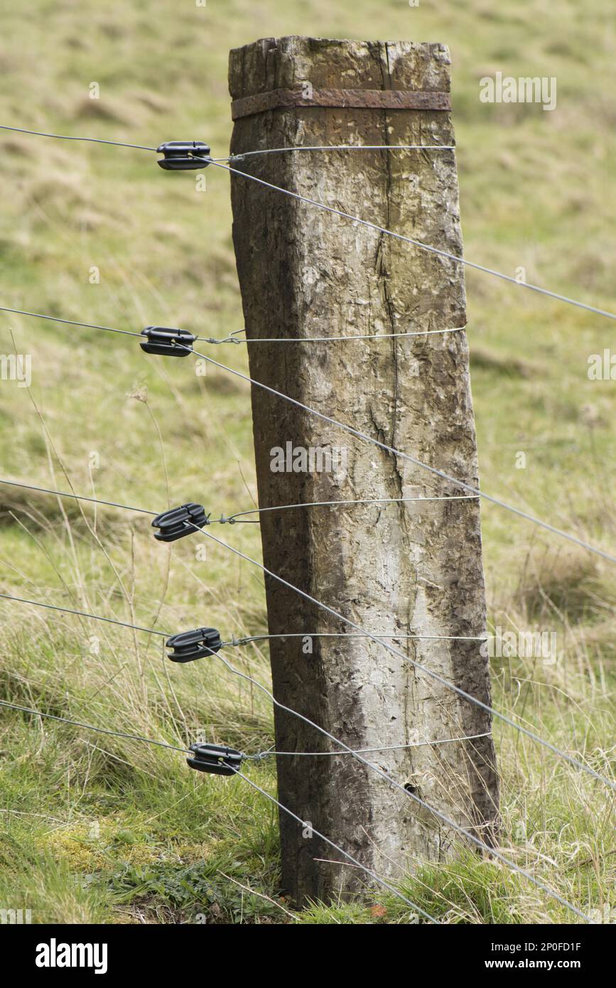 Fence insulator hi-res stock photography and images - Alamy