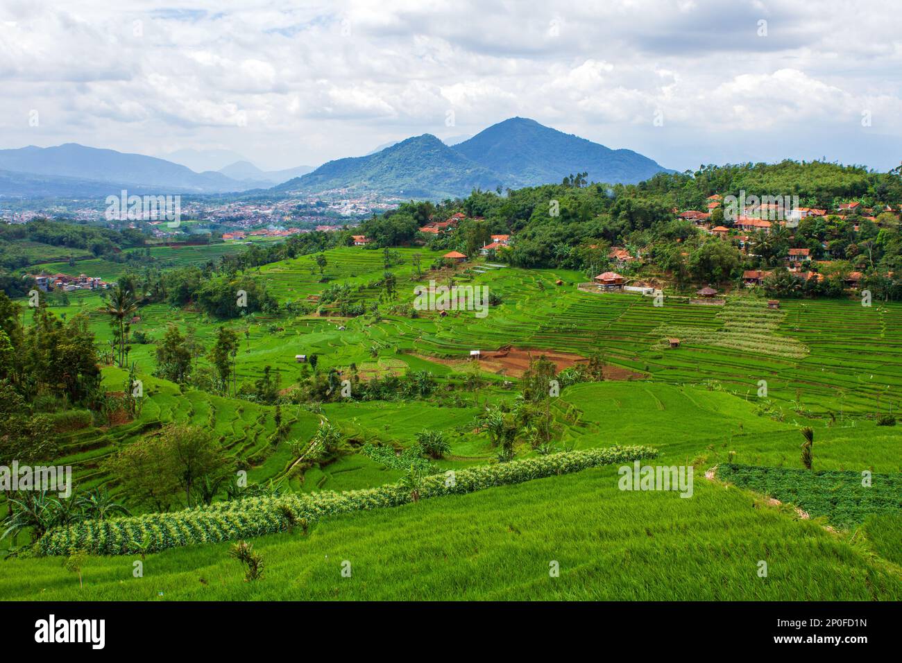 Sumedang, West Java, Indonesia. 3rd Mar, 2023. View of terraced rice ...
