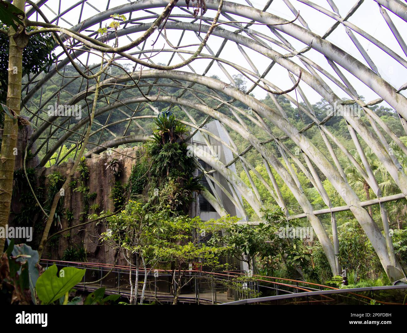 Interior of the Pangolin Dome at Taipei Zoo in Taipei, Taiwan. The ...