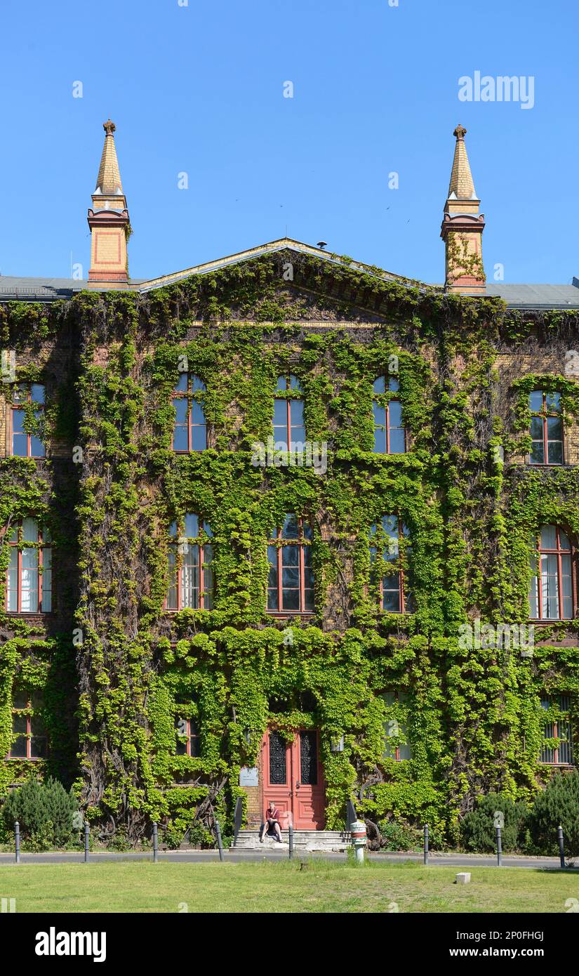 Karl-Bonhoeffer-Nervenklinik, Oranienburger Strasse, Reinickendorf ...