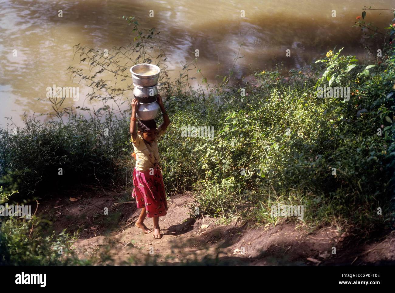 Betta Kurumba tribal girl carrying water in Moyar river at Mudumalai ...