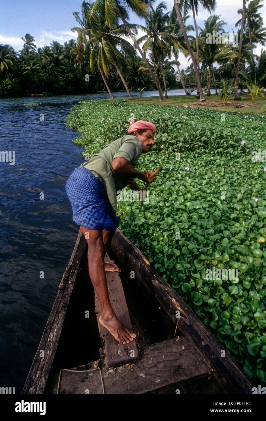 The Kerala backwaters are a chain of brackish lagoons and lakes lying ...