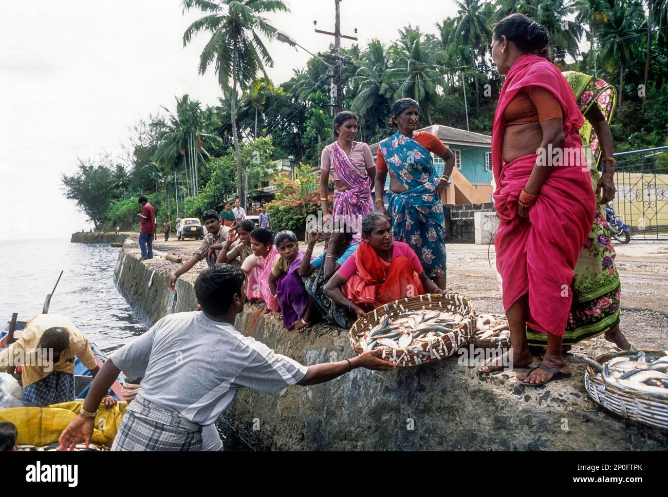 Women purchasing fish at Junglighat in Port Blair, Andaman, Andaman and ...