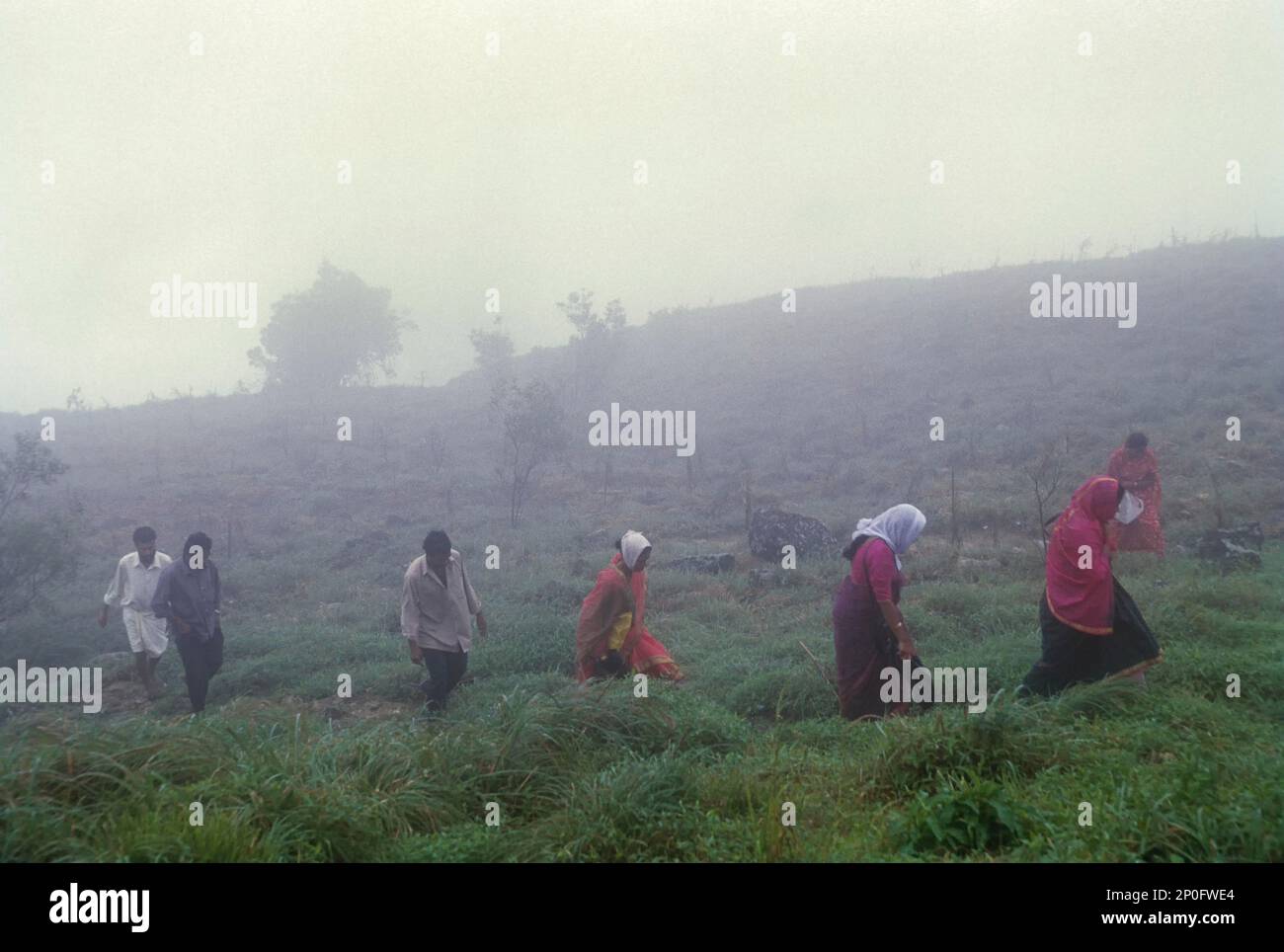 Ponmudi, Villager of a Mountain village, Kerala, Trivandrum, India ...