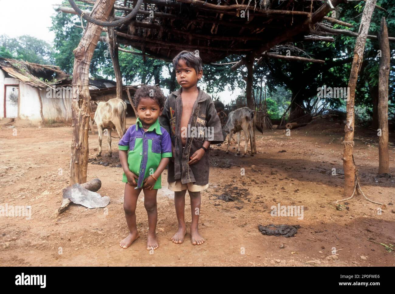 Irula tribal Children standing near Anaikatti, Tamil Nadu, India Stock ...