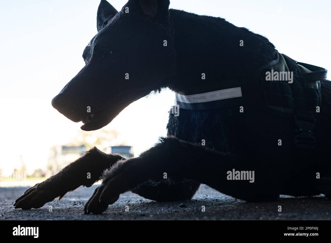 U.S. Air Force Master Sgt. Michael Abesada, from the 927th Aeromedical ...