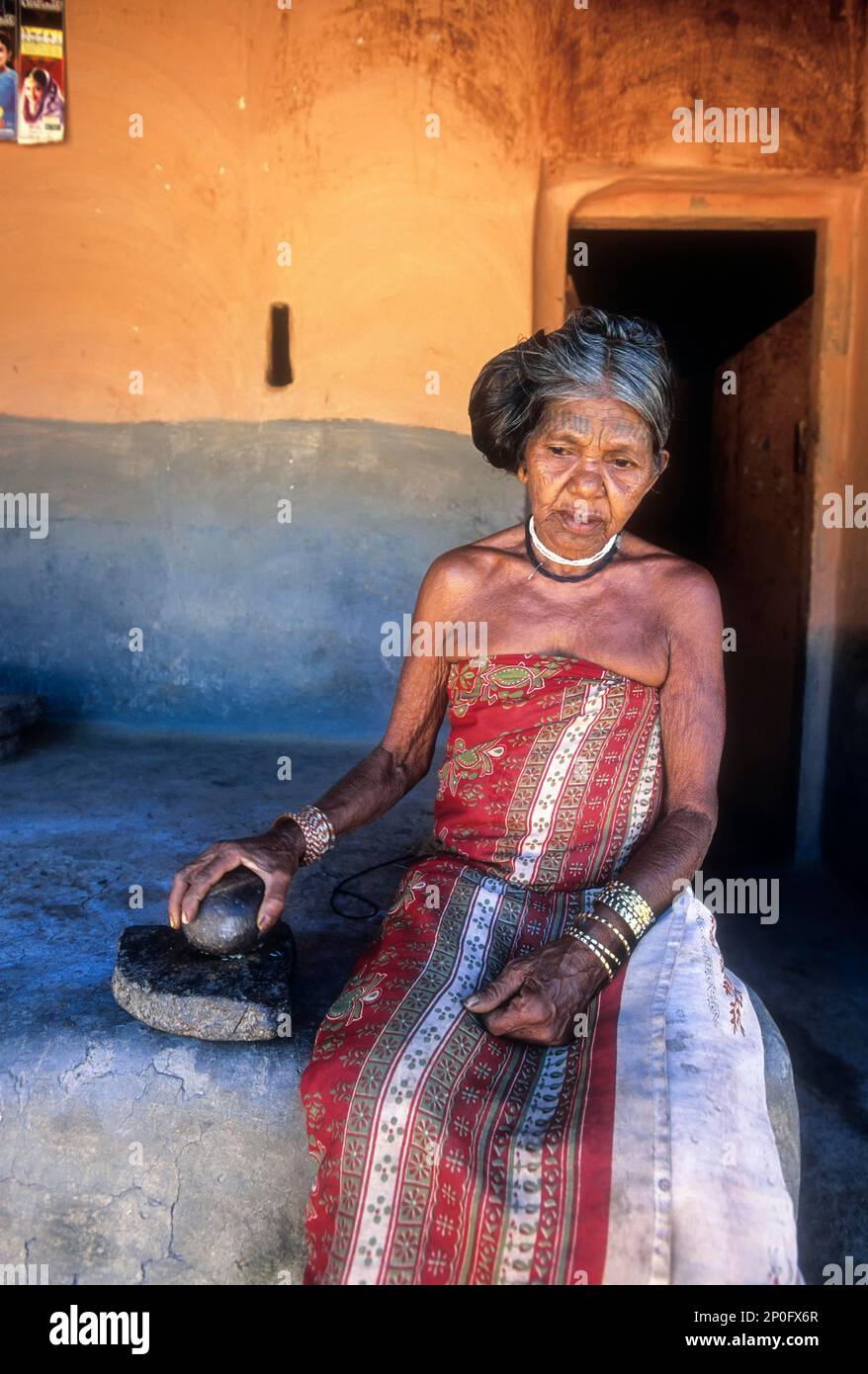 Mudunga tribal old lady sitting in front of the hut, broken betel nut ...