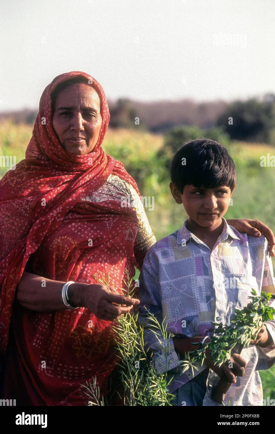 Maldhari hi-res stock photography and images - Alamy