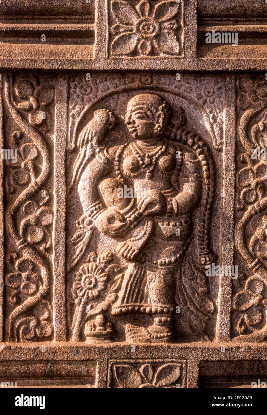 Parrot sculpture hi-res stock photography and images - Alamy