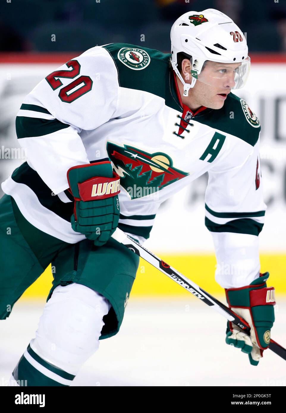 NHL profile photo on Minnesota Wild's Ryan Suter at a game against the ...