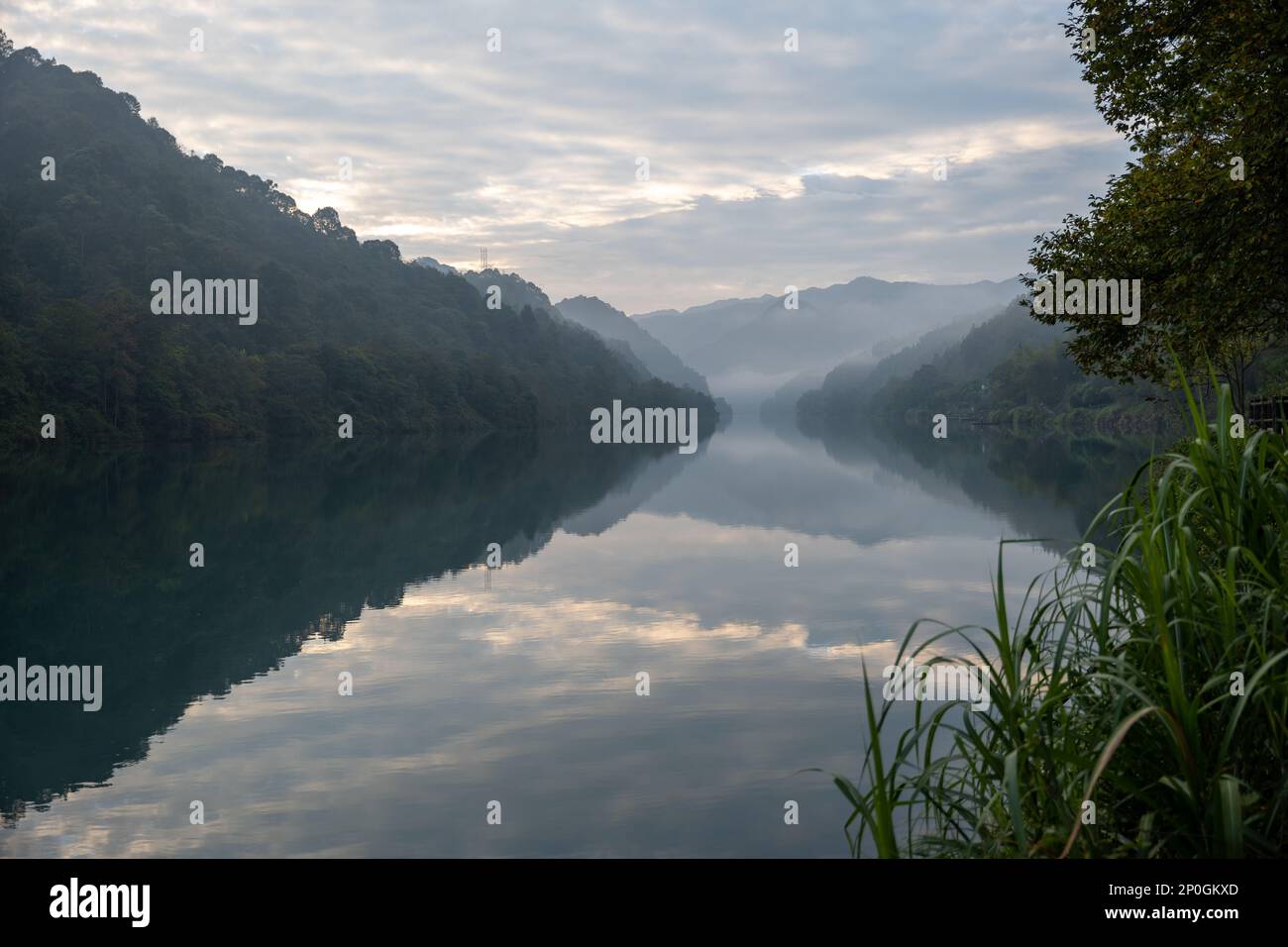 Beautiful scenery river background plant hi-res stock photography and ...