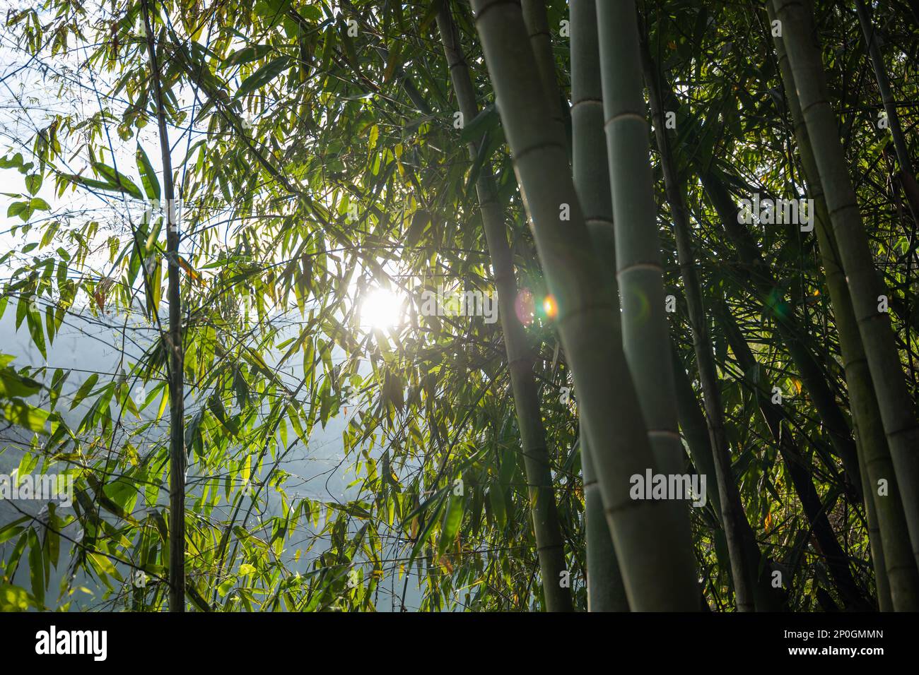 Beautiful scenery of Little East River in Hunan Stock Photo - Alamy