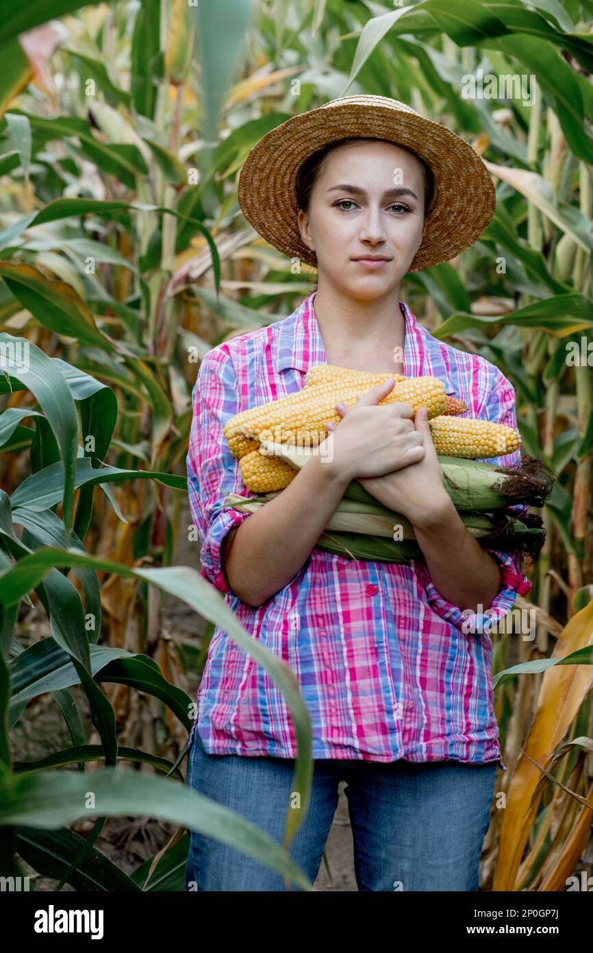 Female farmer holding fresh organic corn cobs in corn field. Crop care ...