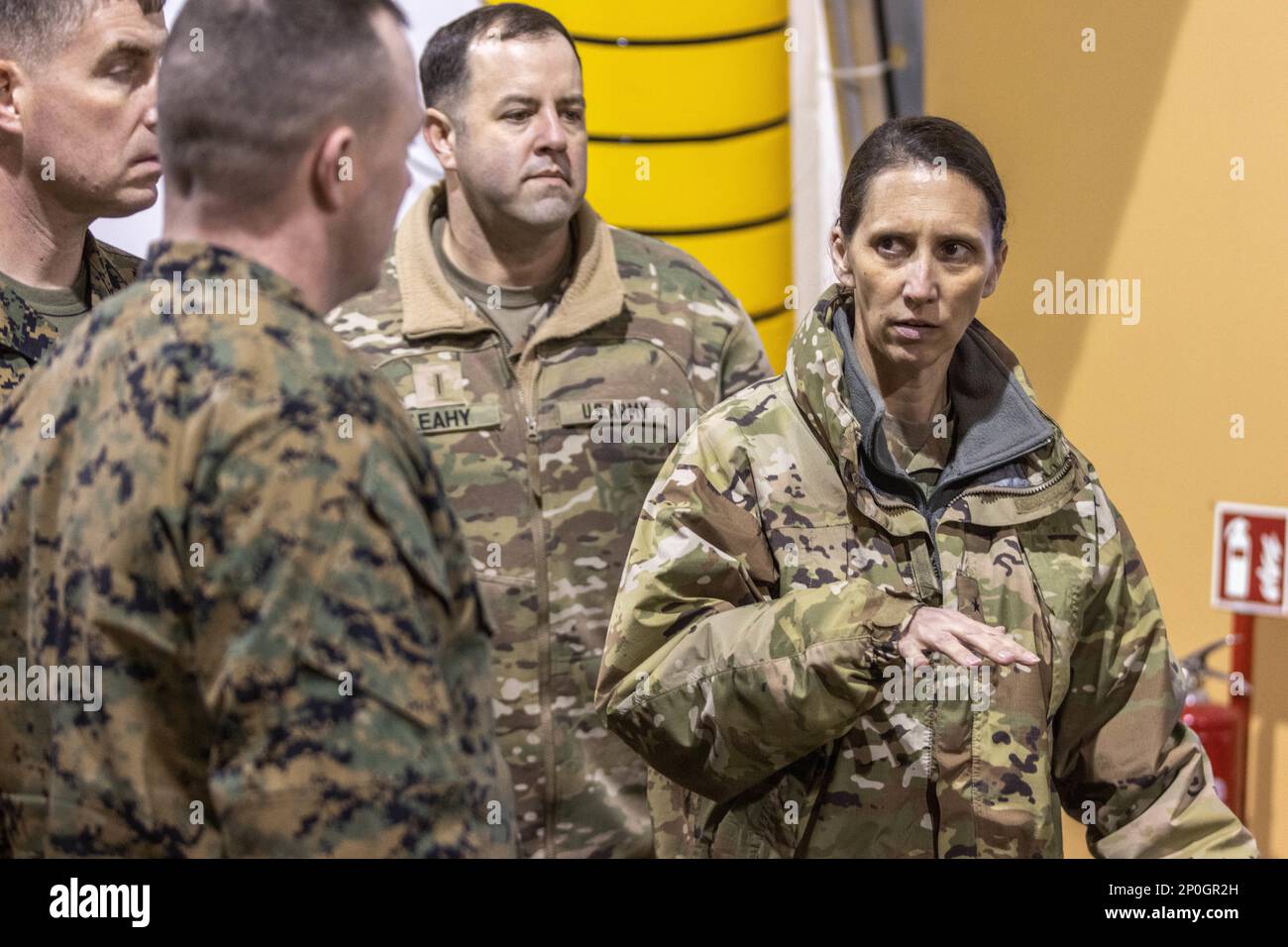 U.S. Army Brig. Gen. Gail Atkins, Commander of the Defense Logistics ...