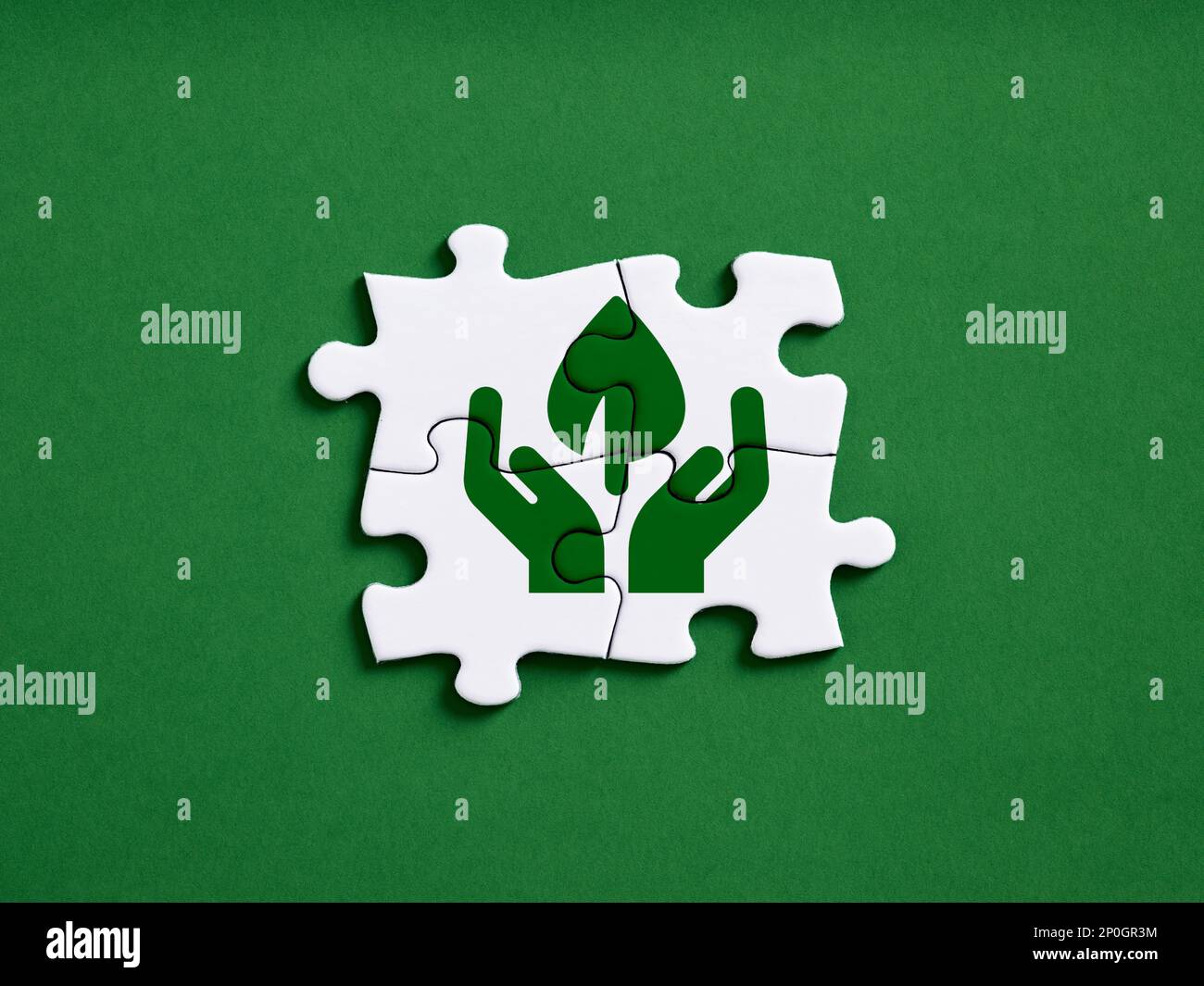 Global efforts for environmental conservation. Worldwide environment ...