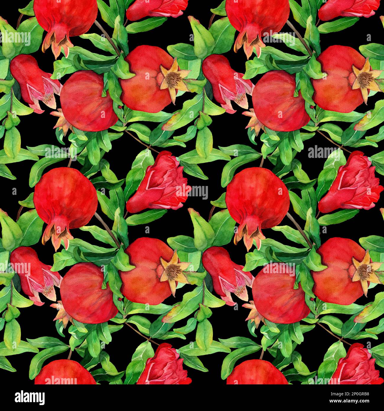 Pomegranate flowers painting hi-res stock photography and images - Alamy