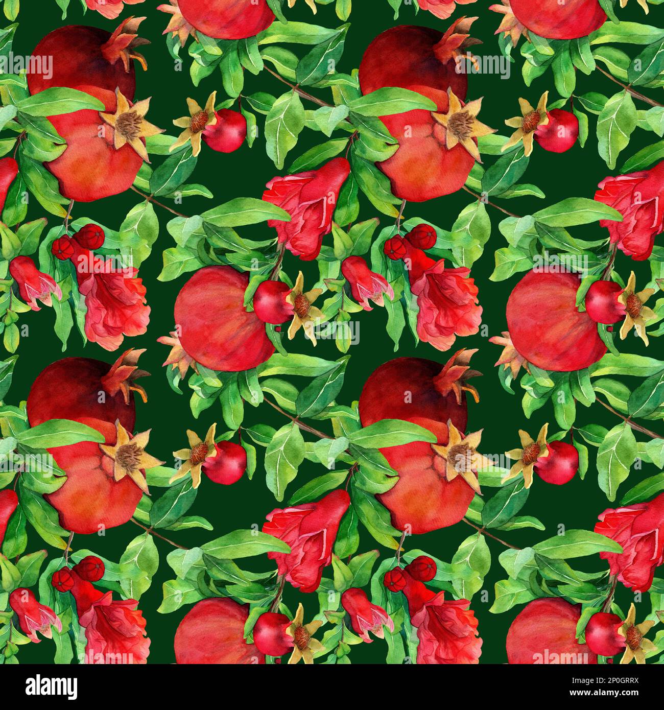 Pomegranate flowers painting hi-res stock photography and images - Alamy