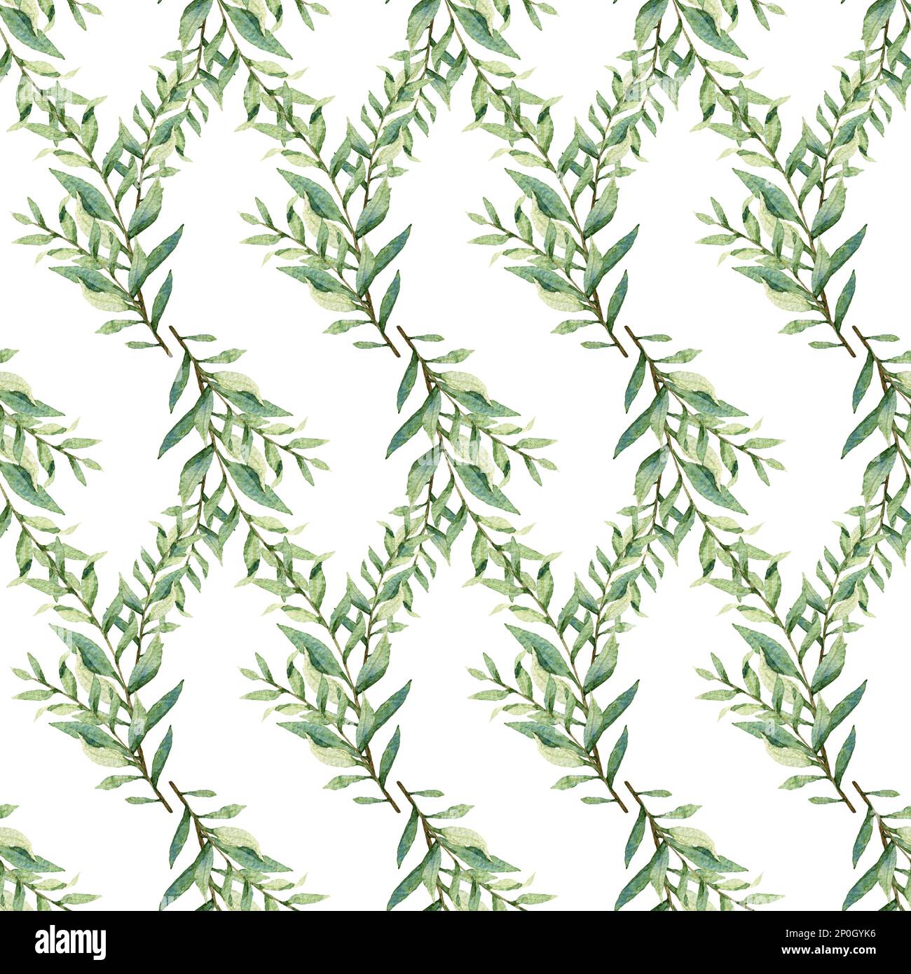 Watercolor greenery seamless pattern, floral texture on white Stock ...
