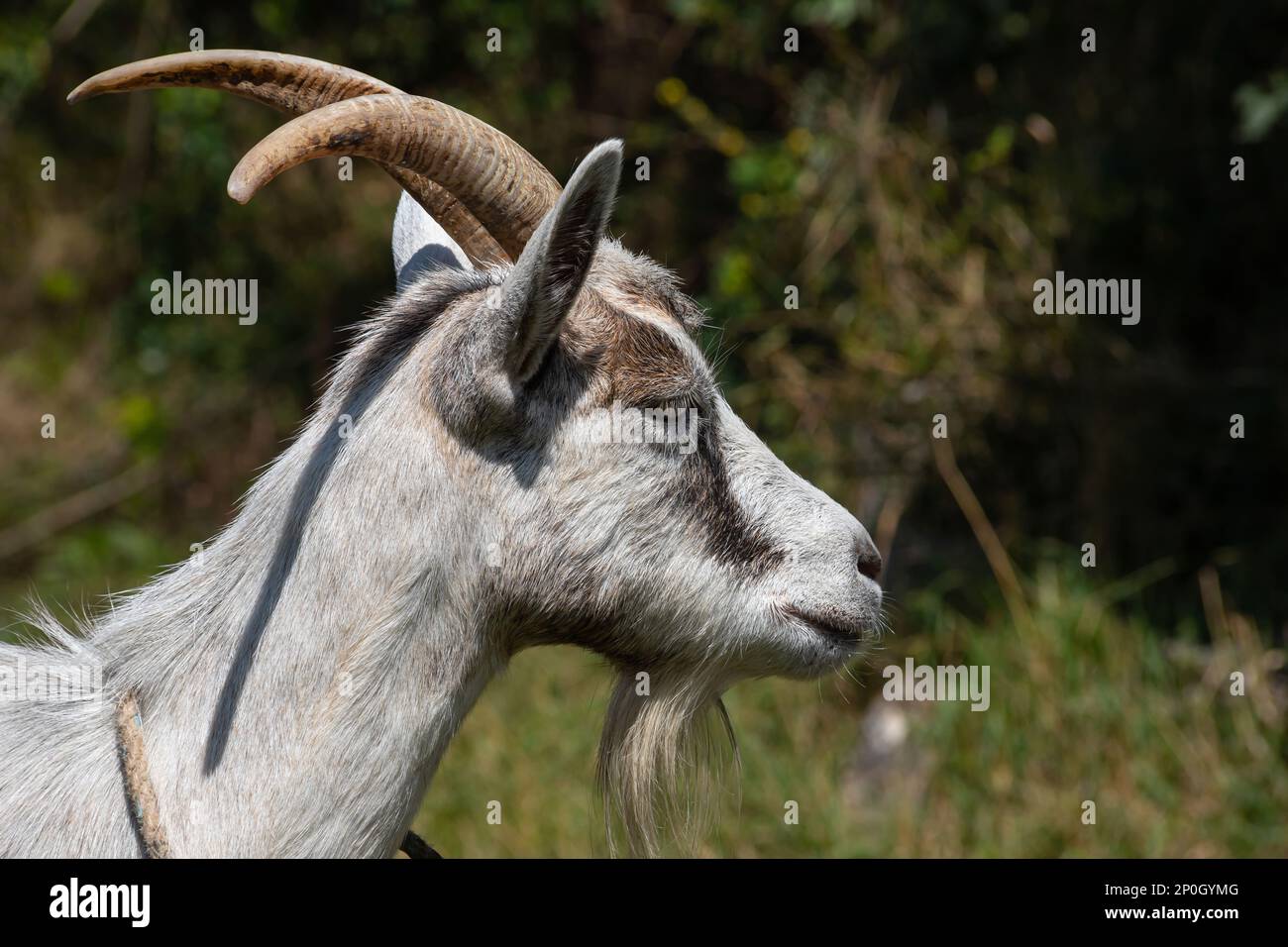 Summer grey day hi-res stock photography and images - Alamy