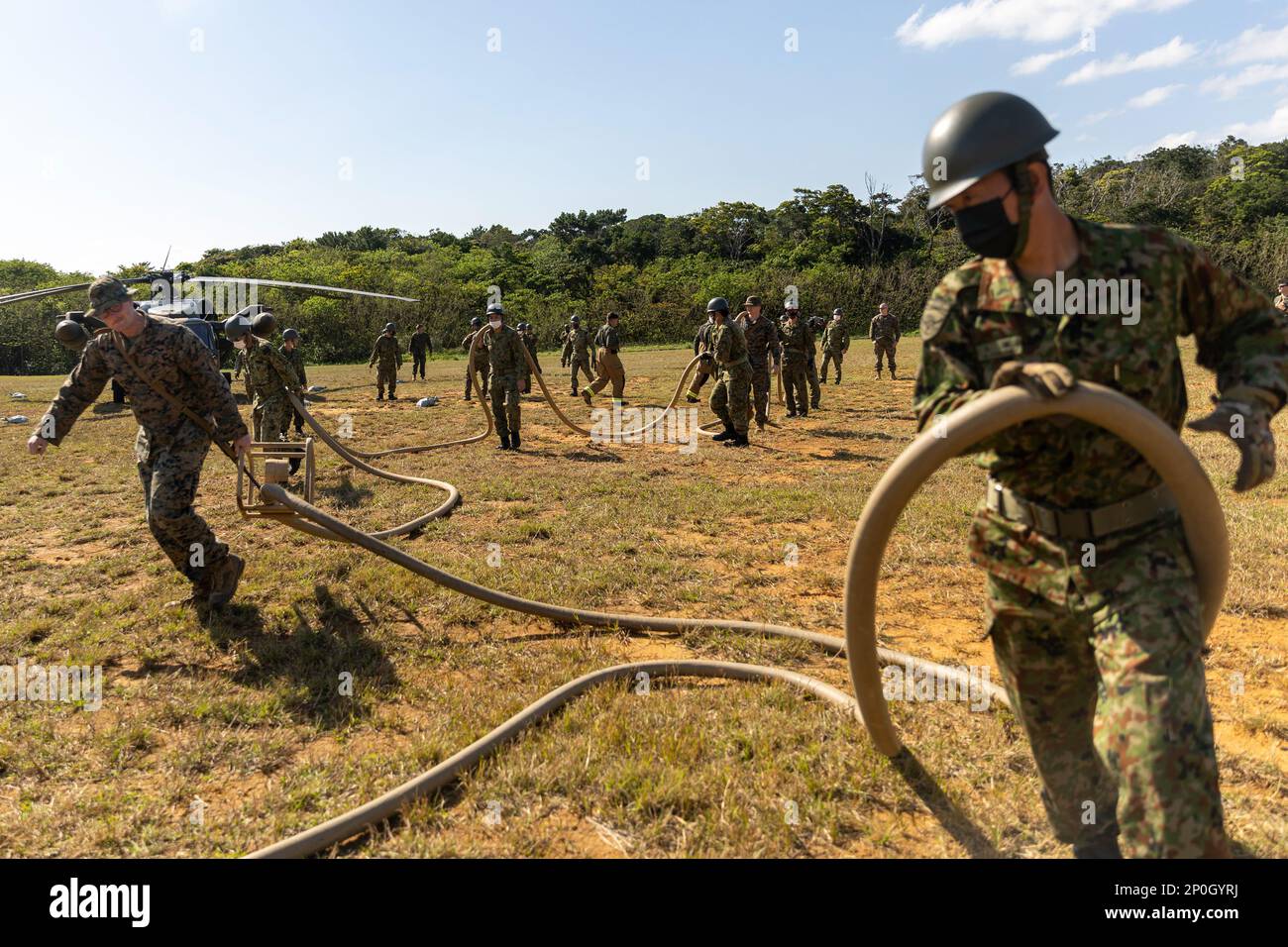 U.S. Marines with Marine Wing Support Squadron (MWSS) 172 and members ...