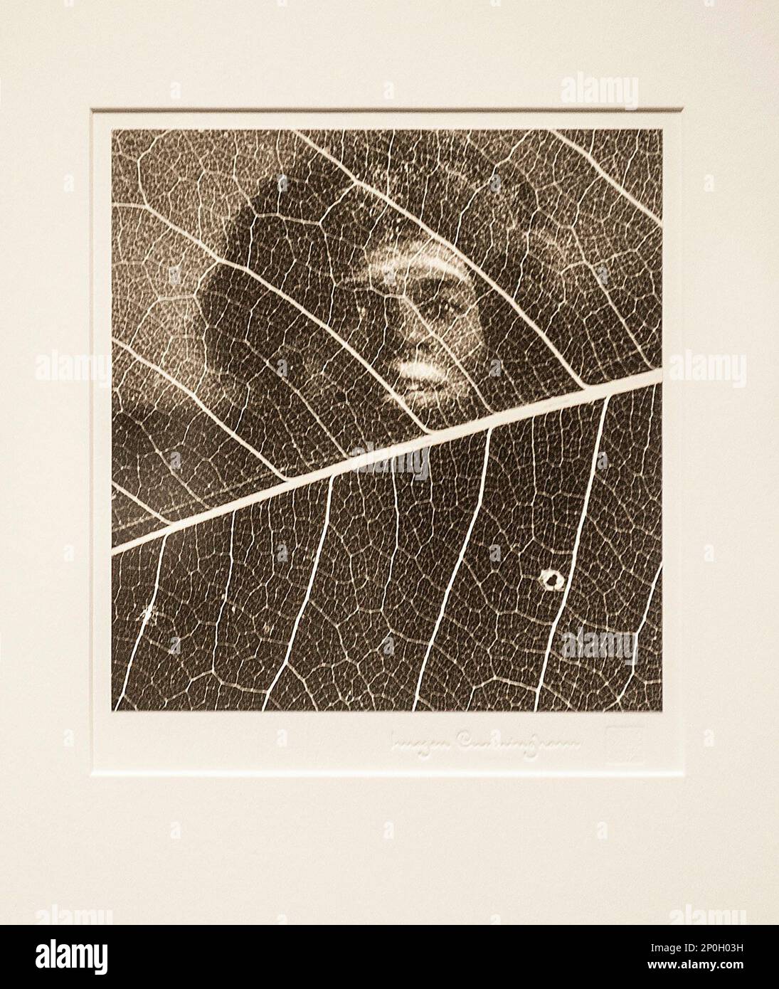 "Chris," taken in 1972, on display at the Bowers Museum's exhibit, Seen ...