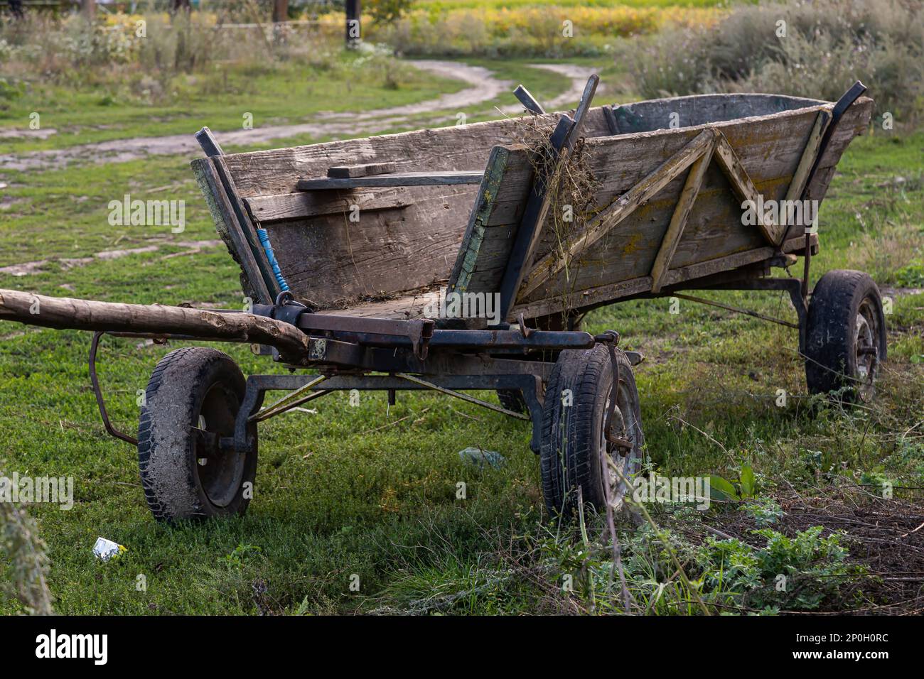 Vintage white horse garden hi-res stock photography and images - Alamy