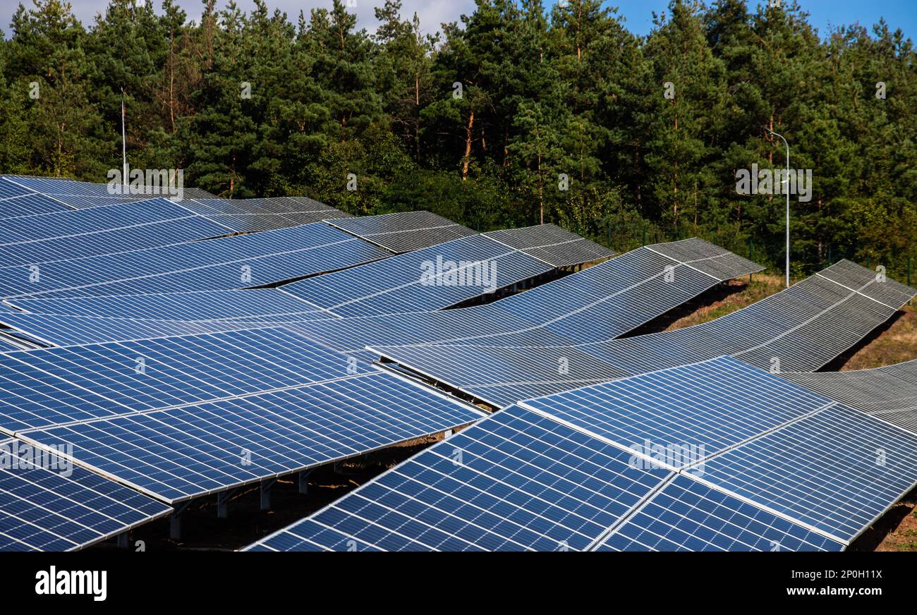 Solar panels in Large Photovoltaic power station, solar park, Renewable ...