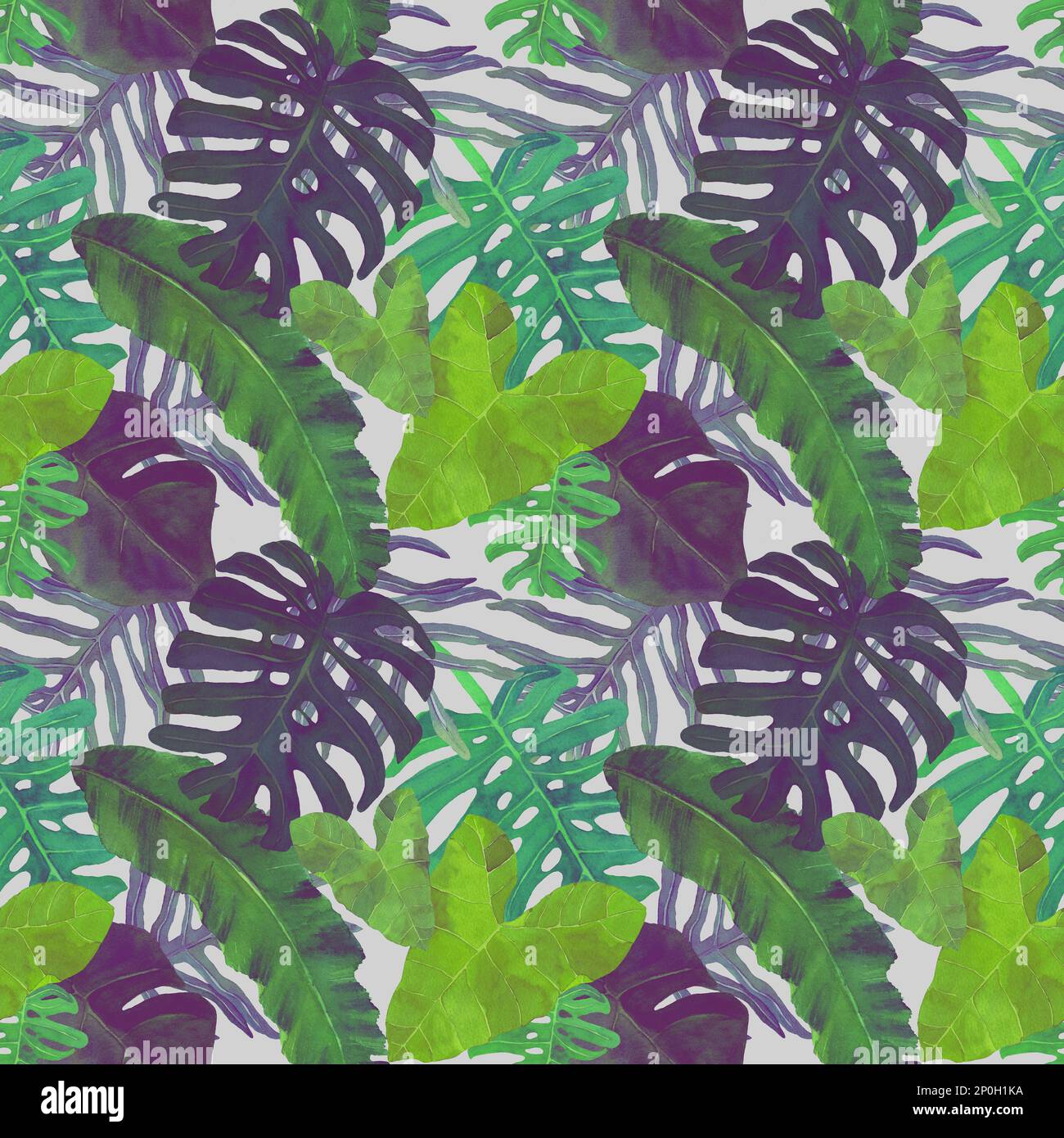 Hawaiian rain forest jungle hi-res stock photography and images - Alamy