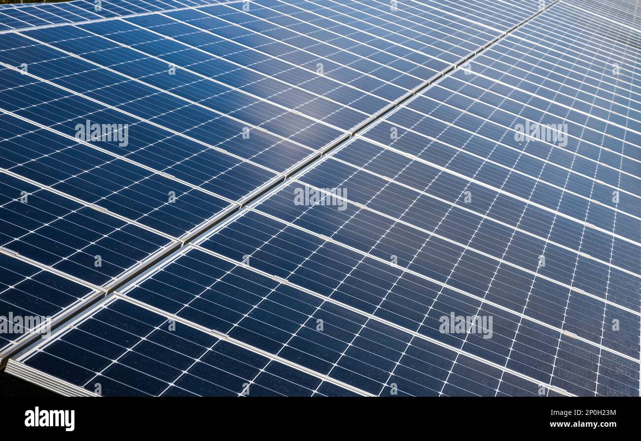 Solar panels in Large Photovoltaic power station, solar park, Renewable ...