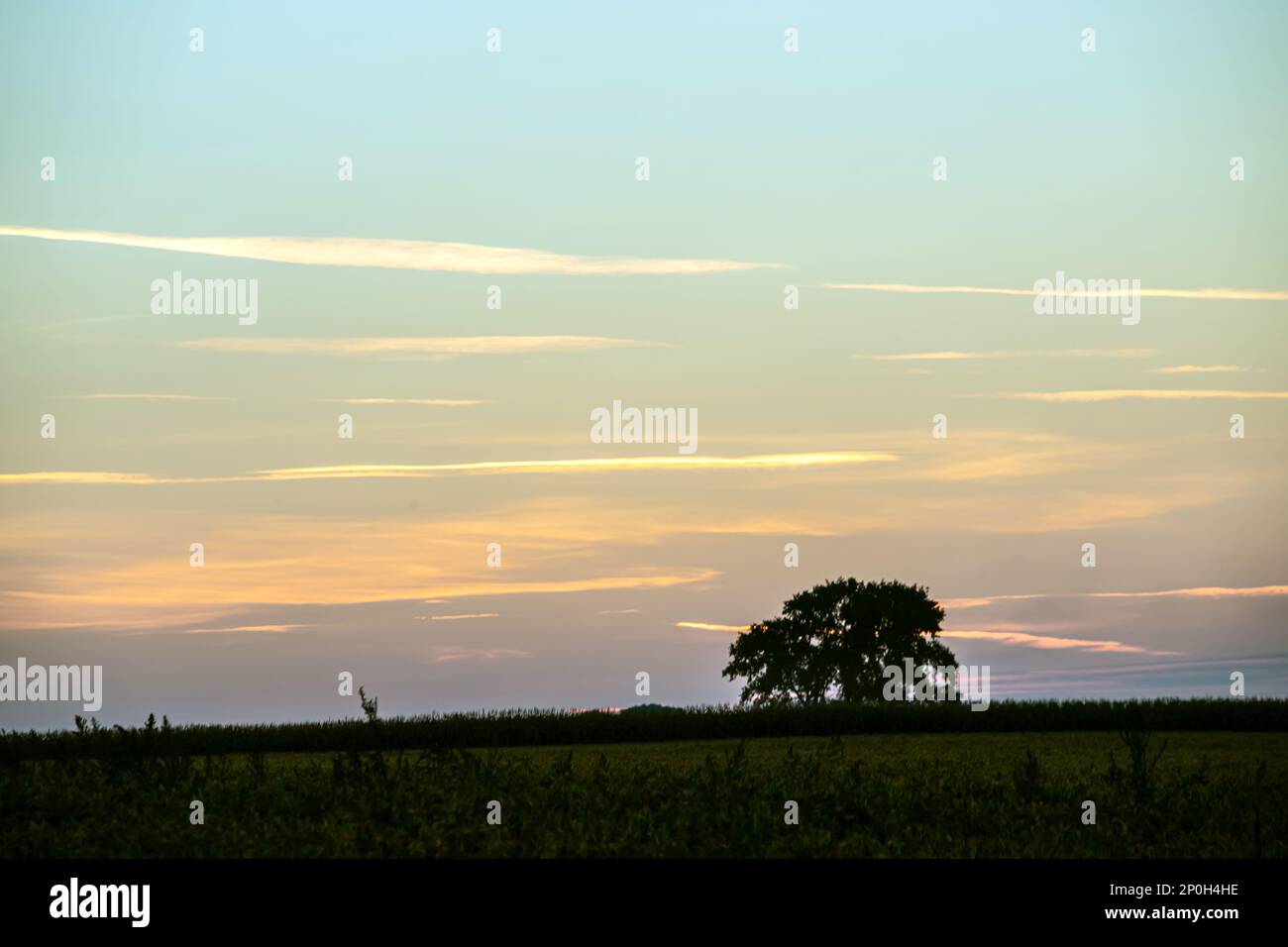Summer landscape photo, Dawn sunset beautiful paints painted the sky ...