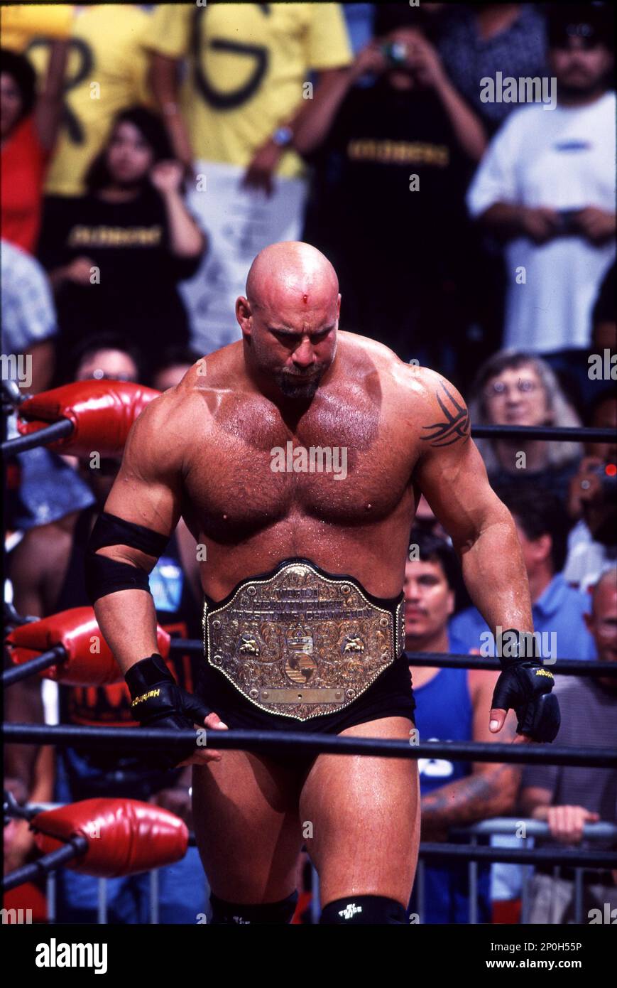 Bill Goldberg Football Injury