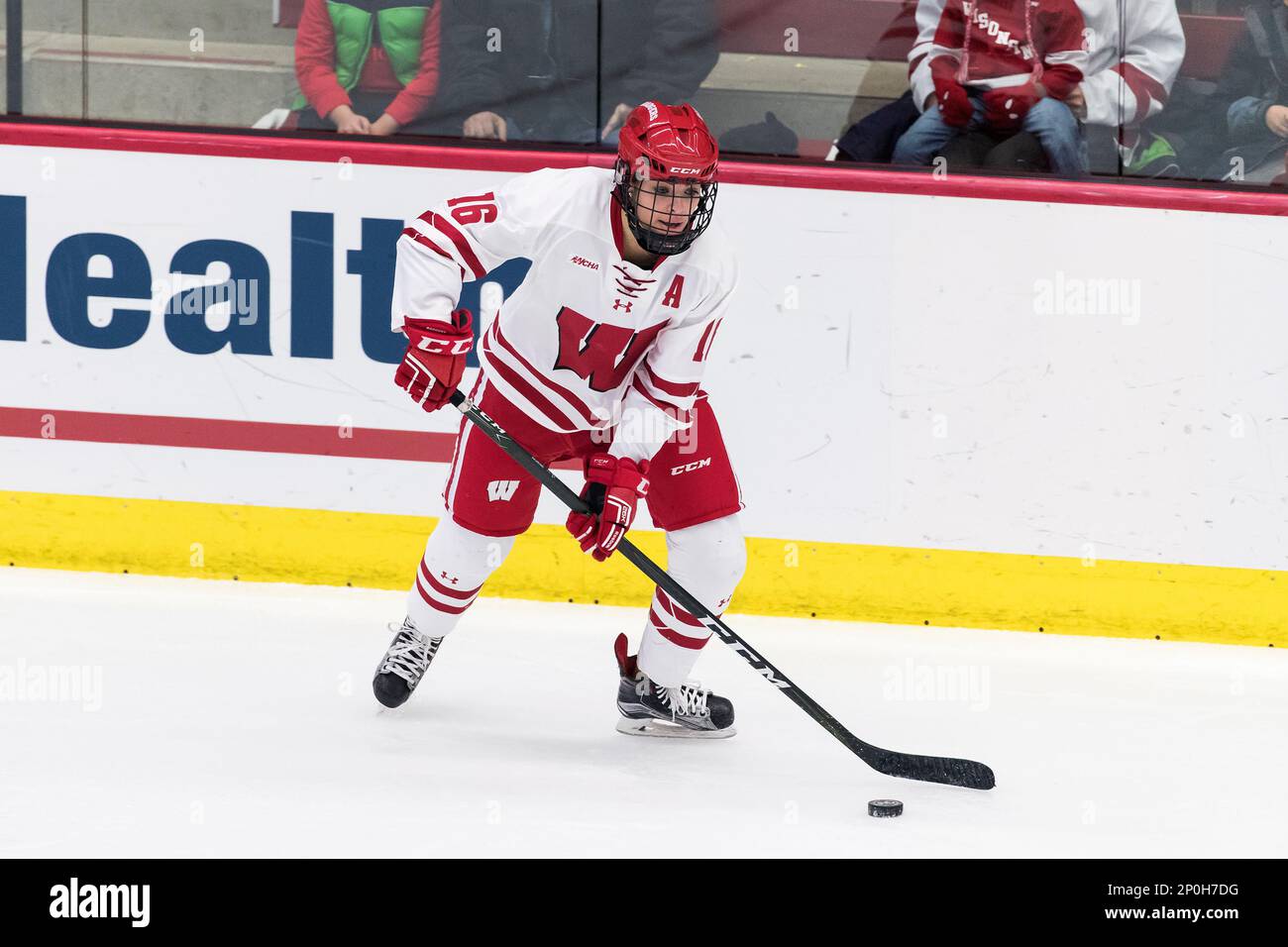 Wisconsin Badgers Sarah Nurse (16) handles the puck during an NCAA WCHA ...