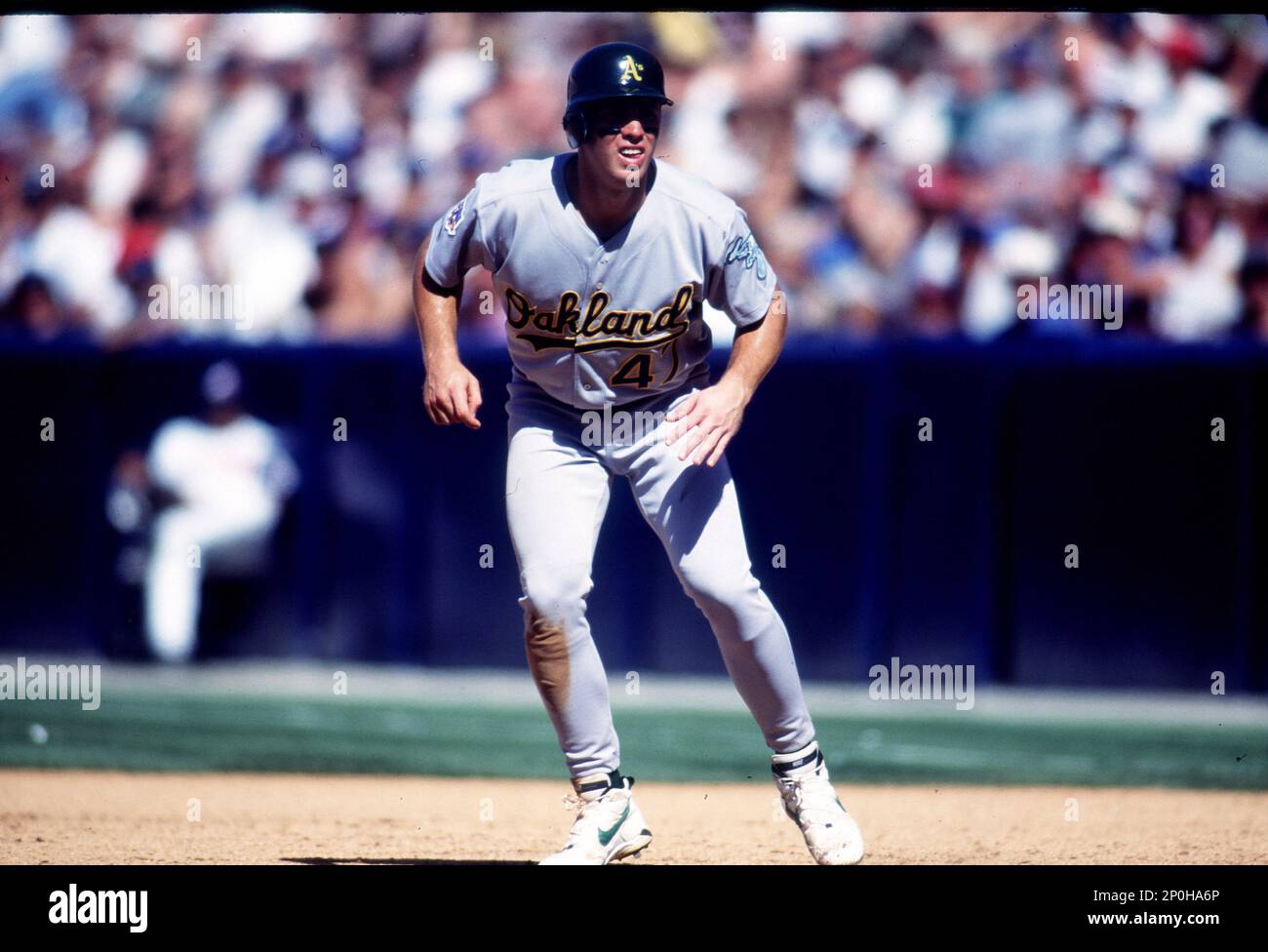 1990's: Mark Bellhorn of the Oakland A's takes a lead off of first base ...