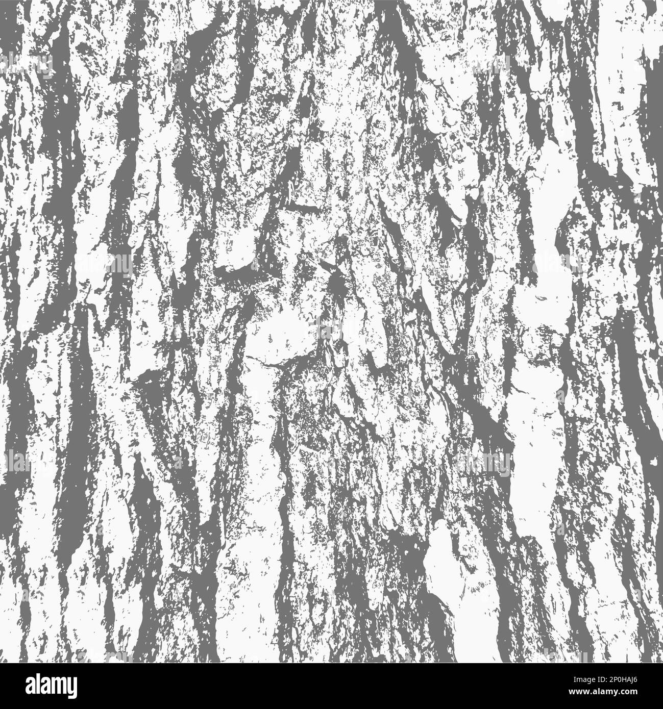 Tree Trunk Texture Vector