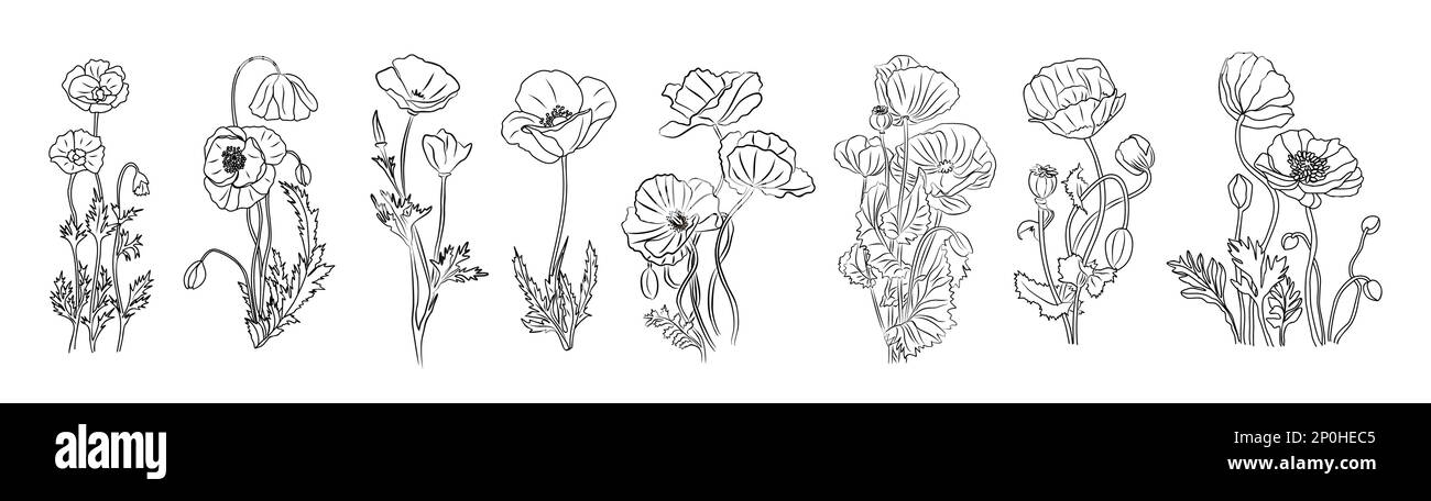 August Birth Month Flower Tattoo