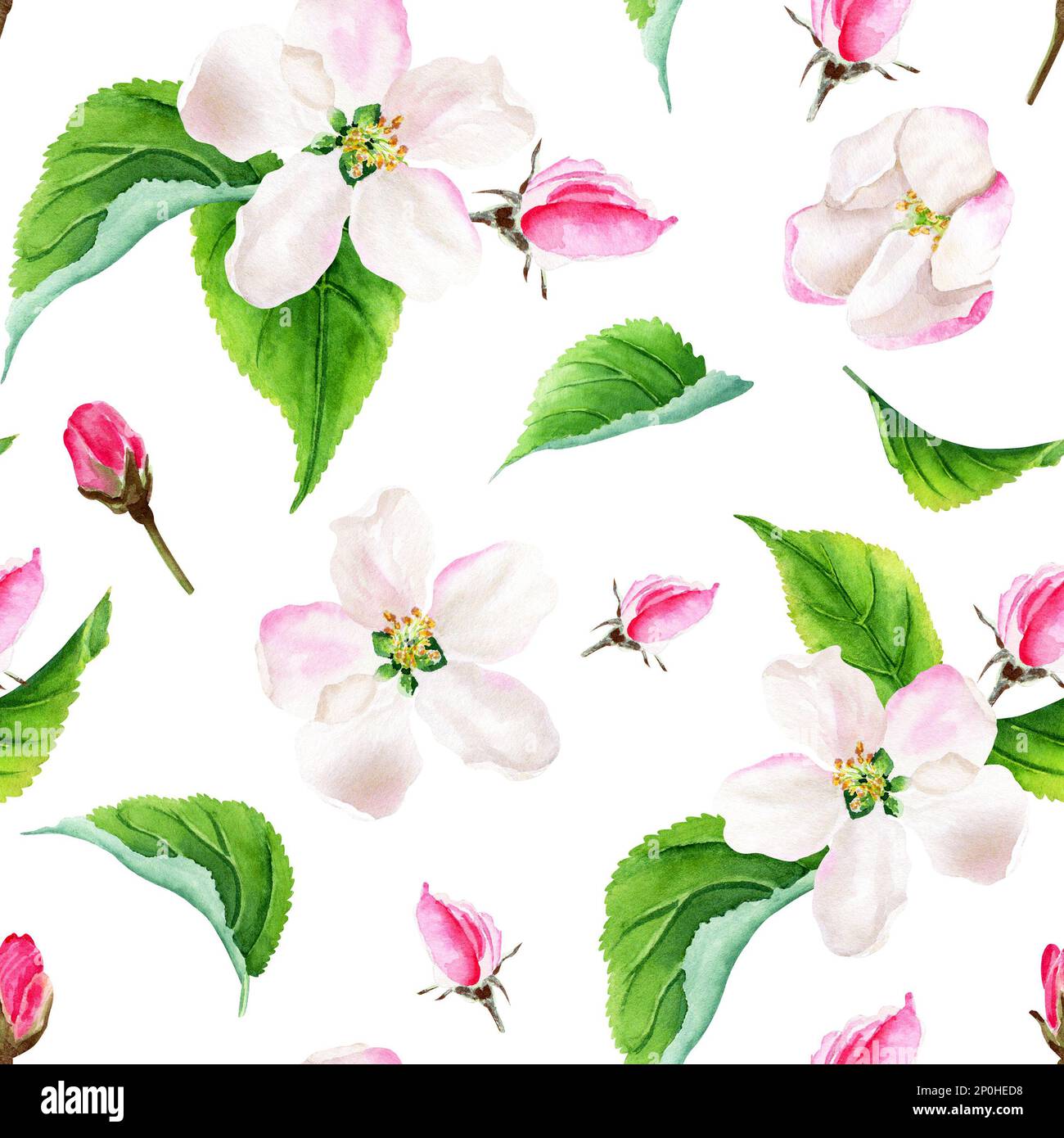 Seamless pattern with apple tree floral elements. Watercolor ...