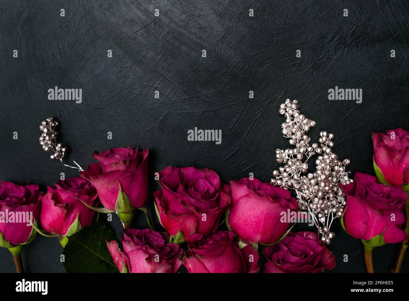 burgundy red roses dark background gothic style Stock Photo - Alamy