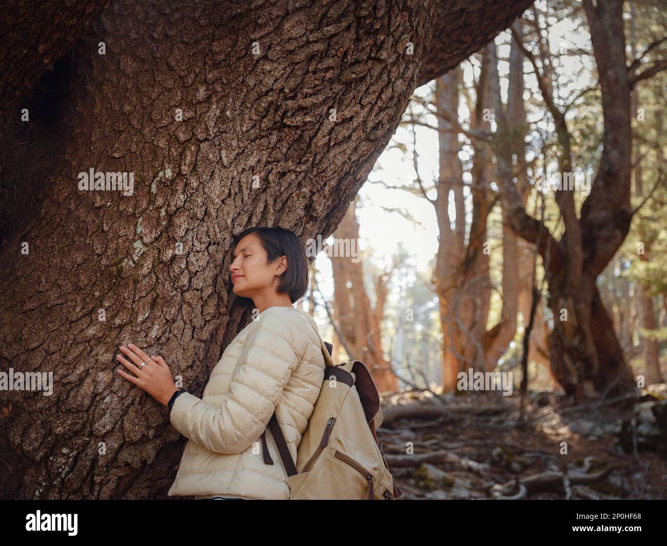 asian woman enjoys being in nature, beautiful forest in mountains ...
