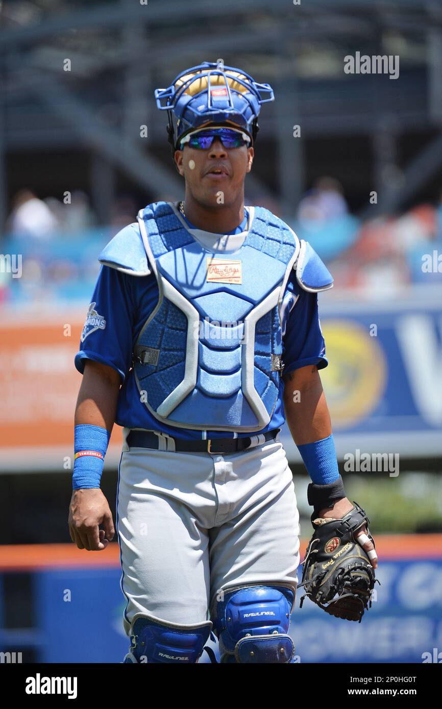 Kansas City Royals catcher Salvador Perez (13) during game against the ...