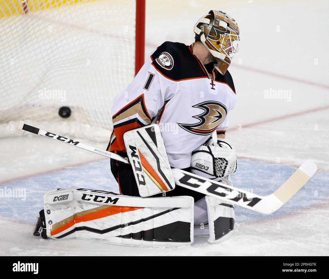 Anaheim Ducks' goalie Jonathan Bernier looks back after being scored on ...