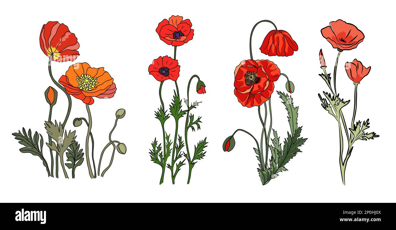 August Birth Flower Tattoo